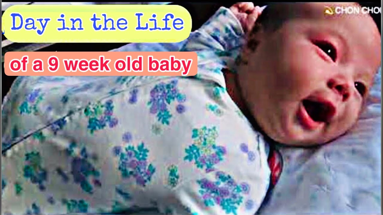 DAY IN THE LIFE OF A 9 WEEK OLD BABY | CHON CHONZ 💫 - YouTube