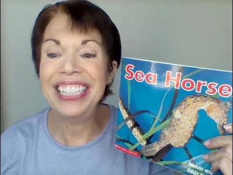 Pre-K Lesson (Reading/non-fiction & Science-Seahorses) - YouTube