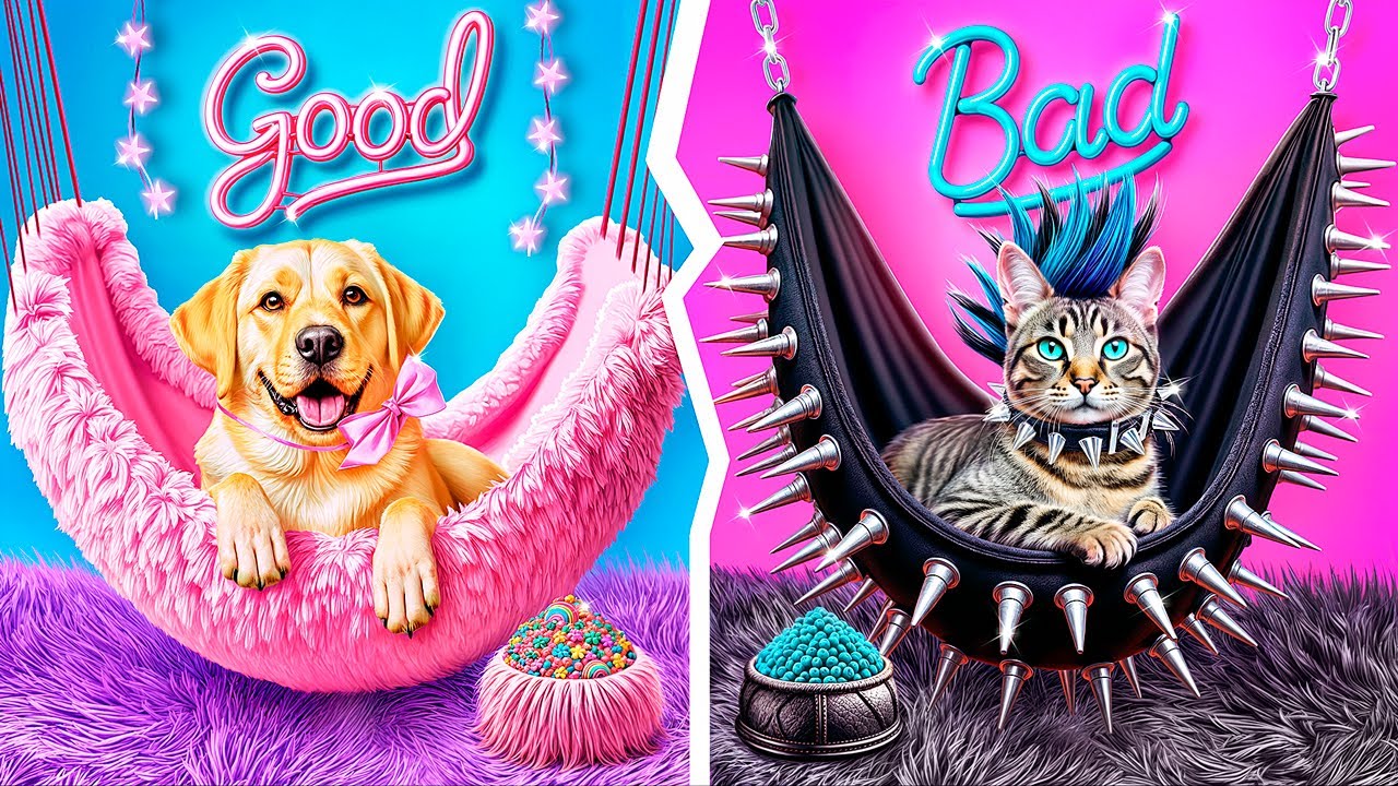 How to Build a Secret Room for Pets! Good Dog vs Bad Cat! - YouTube