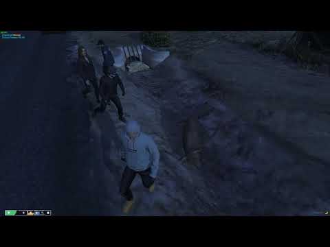 savaşçı inek | NightRP