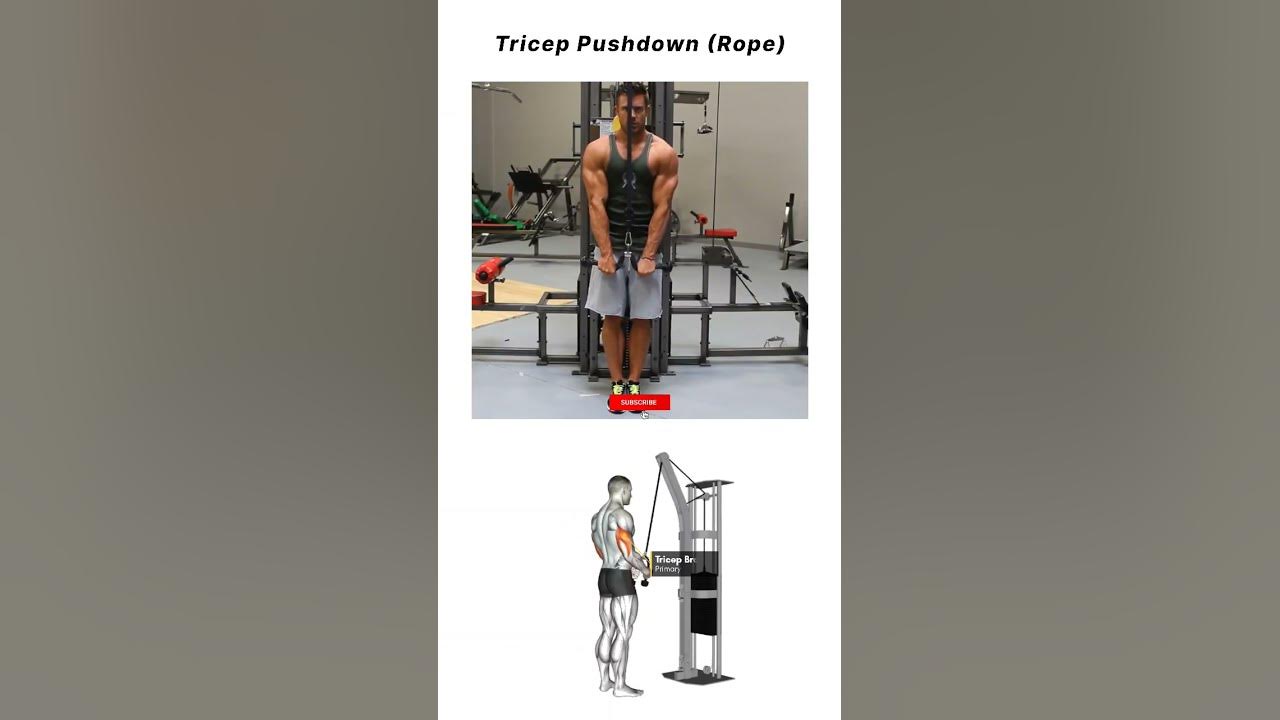 Tricep Pushdown Rope Correct Technique And Muscles Worked Youtube
