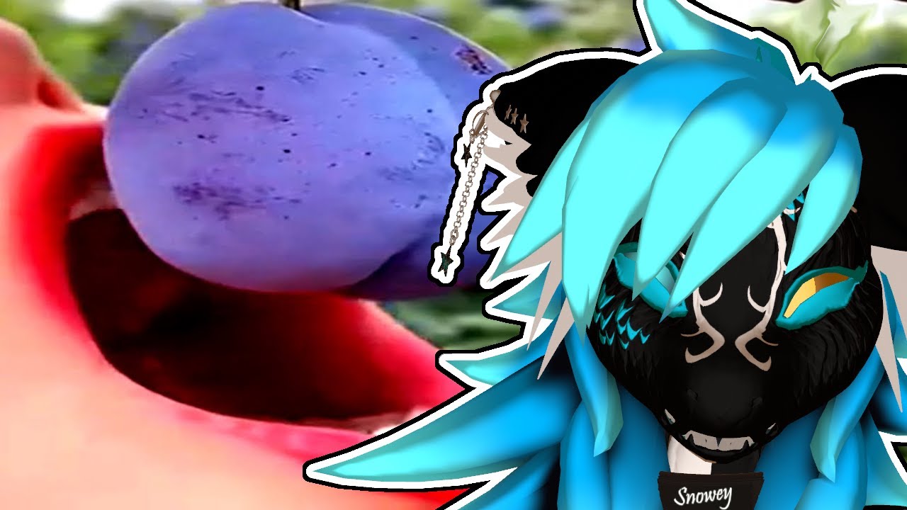 YOU LAUGH YOU LOSE YOUR FURRY NUTS - YouTube