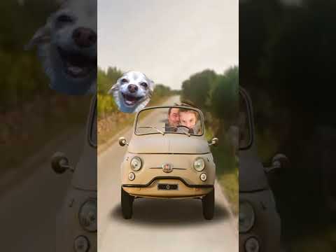 bebeğim çekil 🤪🤪🤪