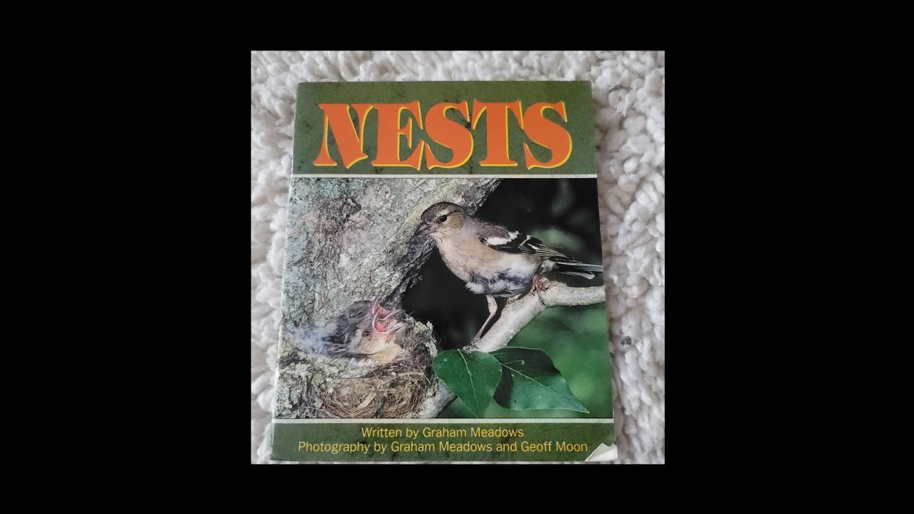 Nest Read Aloud Toddler Preschool Storytime Childrens Literacy Tree ...