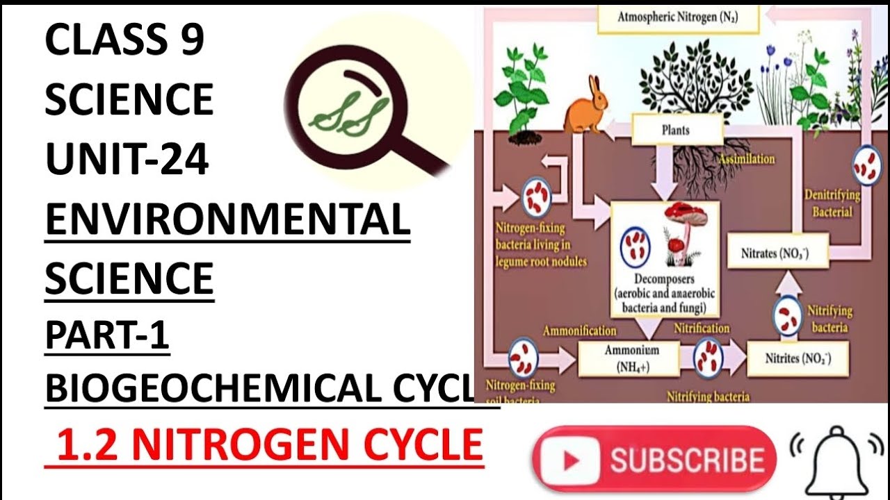 CLASS 9 SCIENCE UNIT-24 ENVIRONMENTAL SCIENCE PART-1 BIOGEOCHEMICAL ...