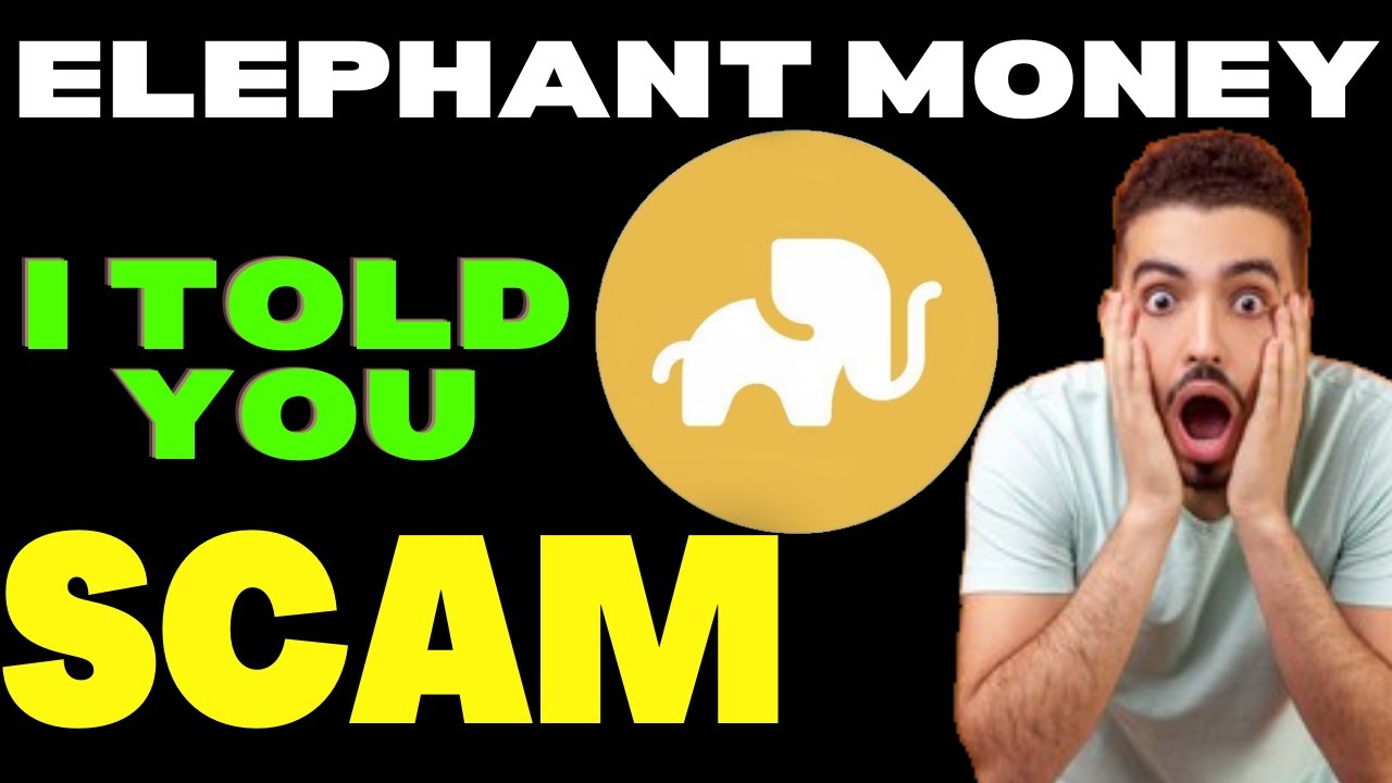 I TOLD YOU SO ELEPHANT MONEY SCAM CRASHED RUG PULLED INVESTORS - YouTube
