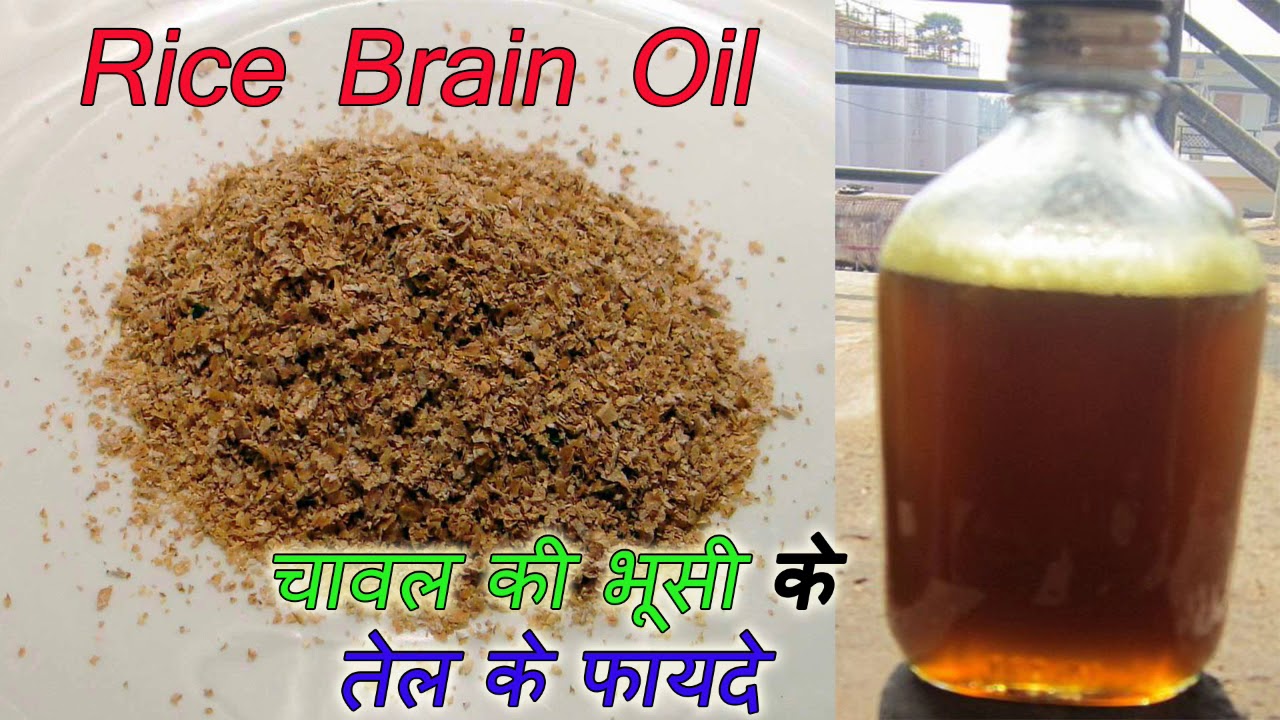 Rice Brain Oil - चावल की भूसी के तेल के फायदे/rice bran oil benefits ...