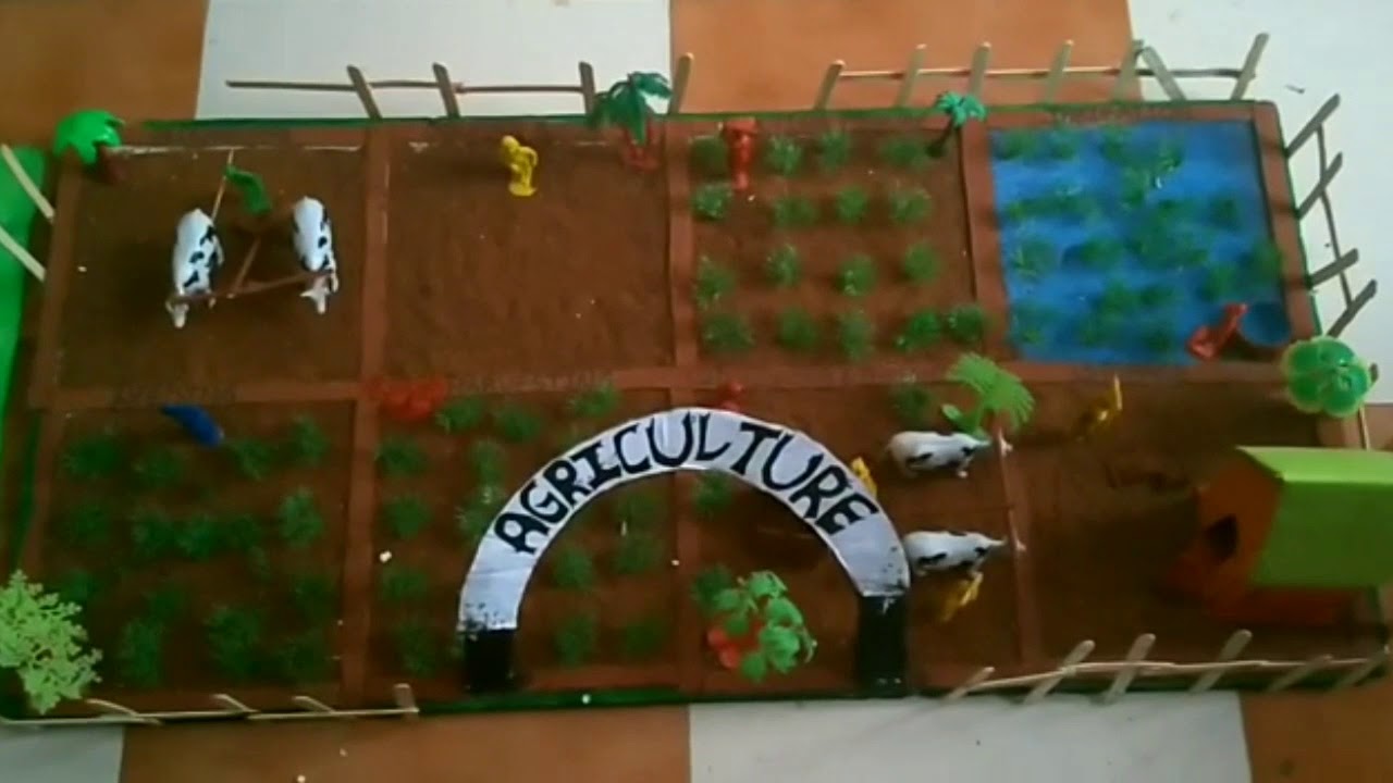 Simple agriculture model for school science exhibition project/organic ...
