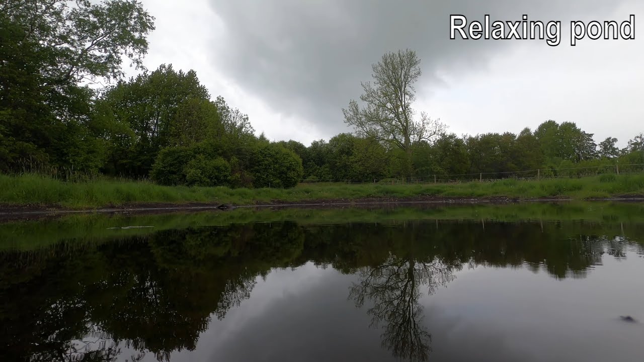 Relaxing asmr video at pond with rain - YouTube