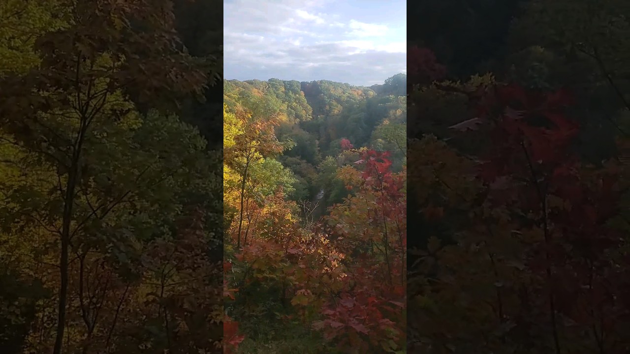 Erie, PA fall colors - YouTube