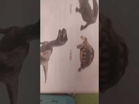 bu mənim ilk videom dur 5 ci sinif təbiət səh39-40