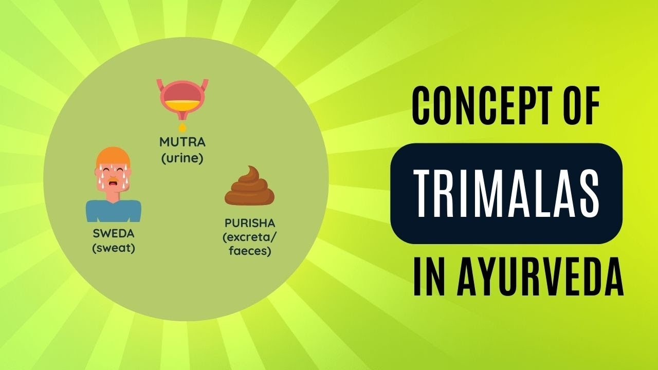 Concept of Trimala in Ayurveda #ayurveda #ayurvedaforhealth # ...