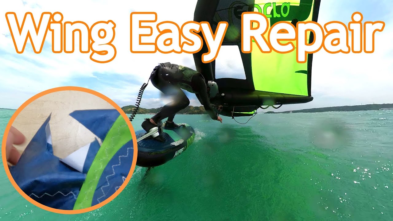 [English subtitles] Wing Repair! It's so easy and fast repair method ...