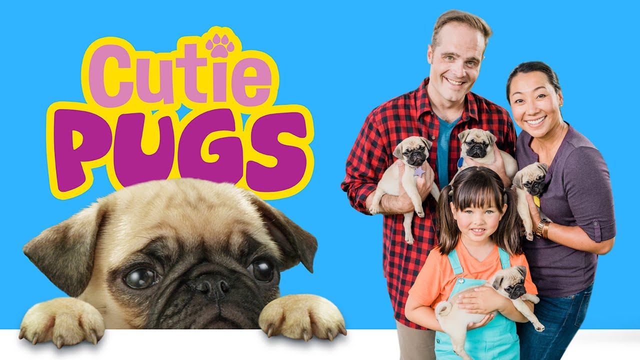 CUTIE PUGS - Brand New Trailer! 🐾 - YouTube
