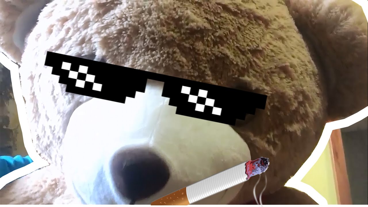 EL OSO GAMER EN 2.0 - RetGat - YouTube