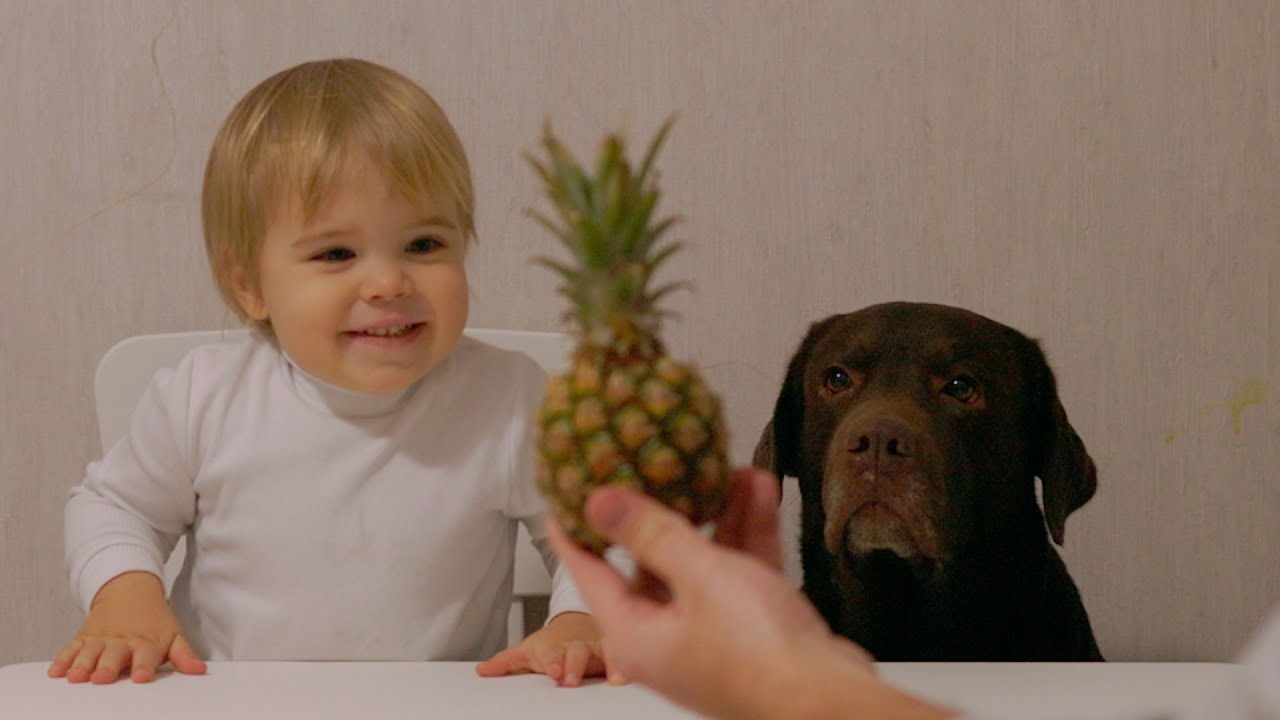 My Dog and Baby Try Pineapple for the First Time! - YouTube
