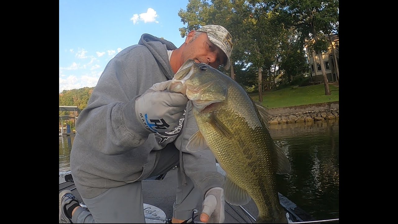 Lake Ozark Bass Fishing Toyota Series Practice - YouTube
