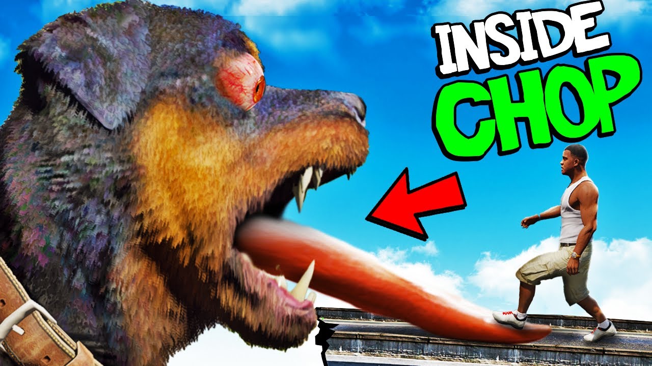 What's Inside Of FRANKLINS CHOP HEAD In GTA 5? - YouTube