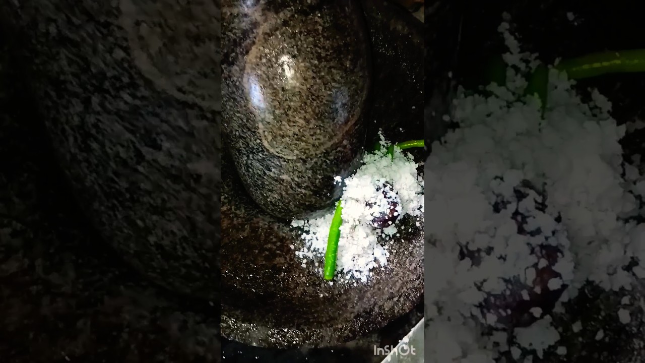 Traditional Way-Brahmi Chutney | Stone Grind Chutney #shorts #viral # ...