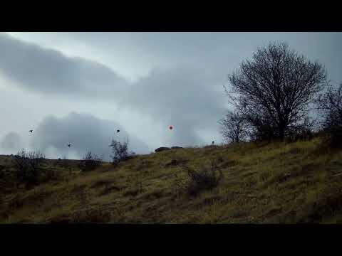 ARALIK AYINDA KEKLİK AVI ( Temiz Atışlarla Keyifli Bir Avcılık ) 