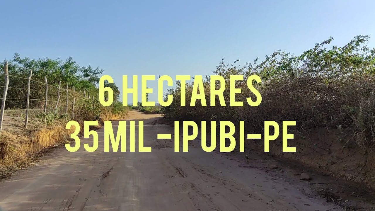 Mais uma propriedade boa. 6 hectares. 87981363923 - YouTube