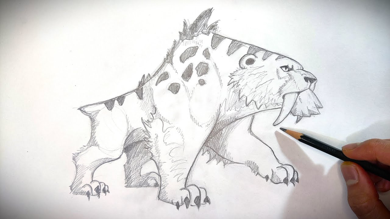 How To Draw Sabretooth Tiger | Step By Step Tutorial - YouTube