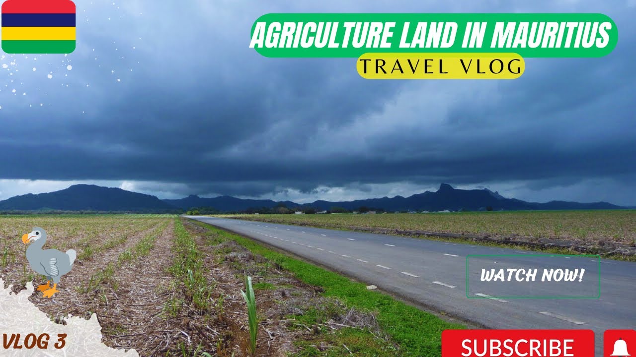 Explore Mauritian Village And Agriculture Area | Flac District | # ...