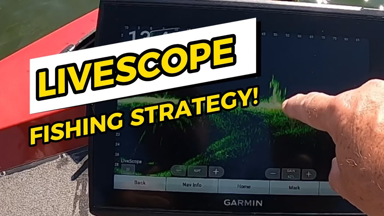 Livescope Strategy - YouTube