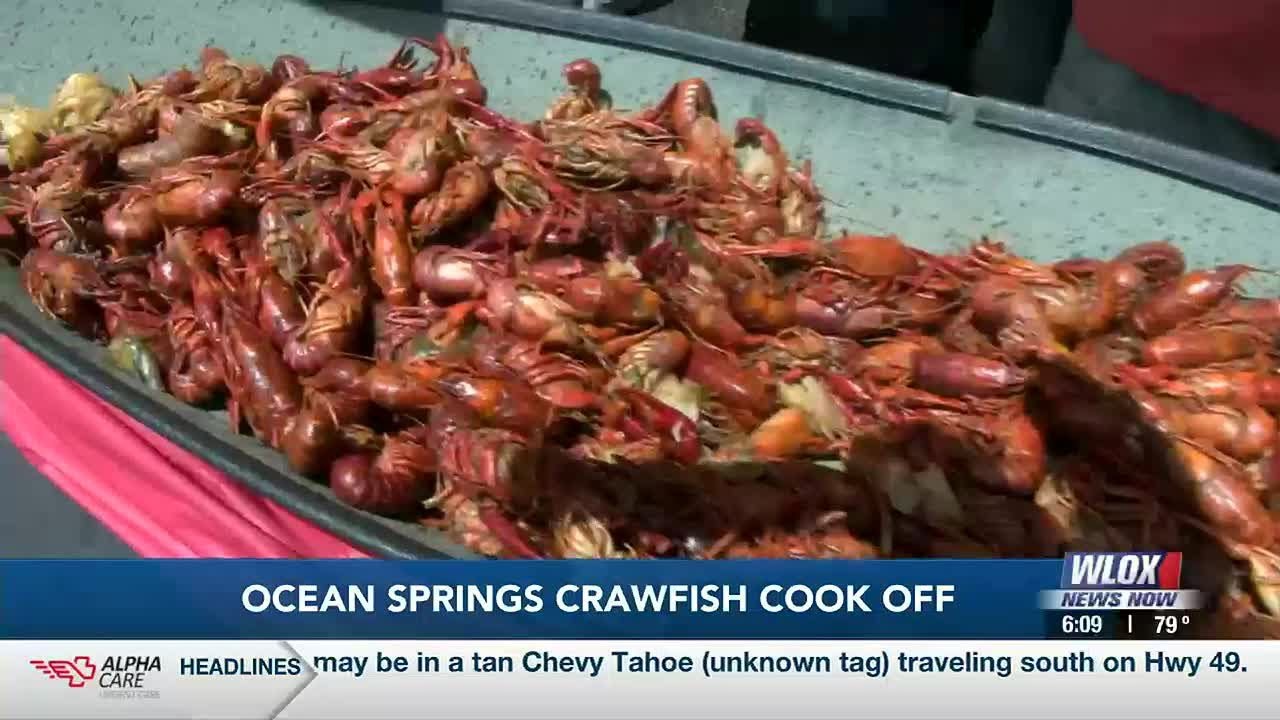 Annual Crawfish Cook-Off in Ocean Springs hosts 28 teams, 3,000 lbs. of ...