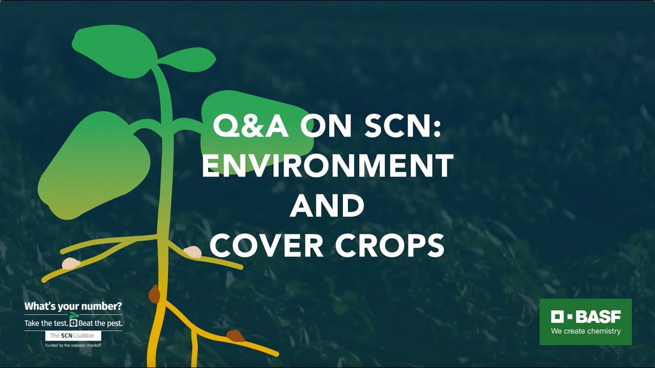 Q&A on SCN: Environment and Cover Crops - YouTube