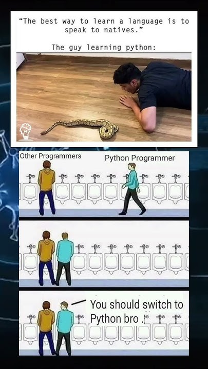 Random Programming Memes I Found on the Internet #003 - YouTube