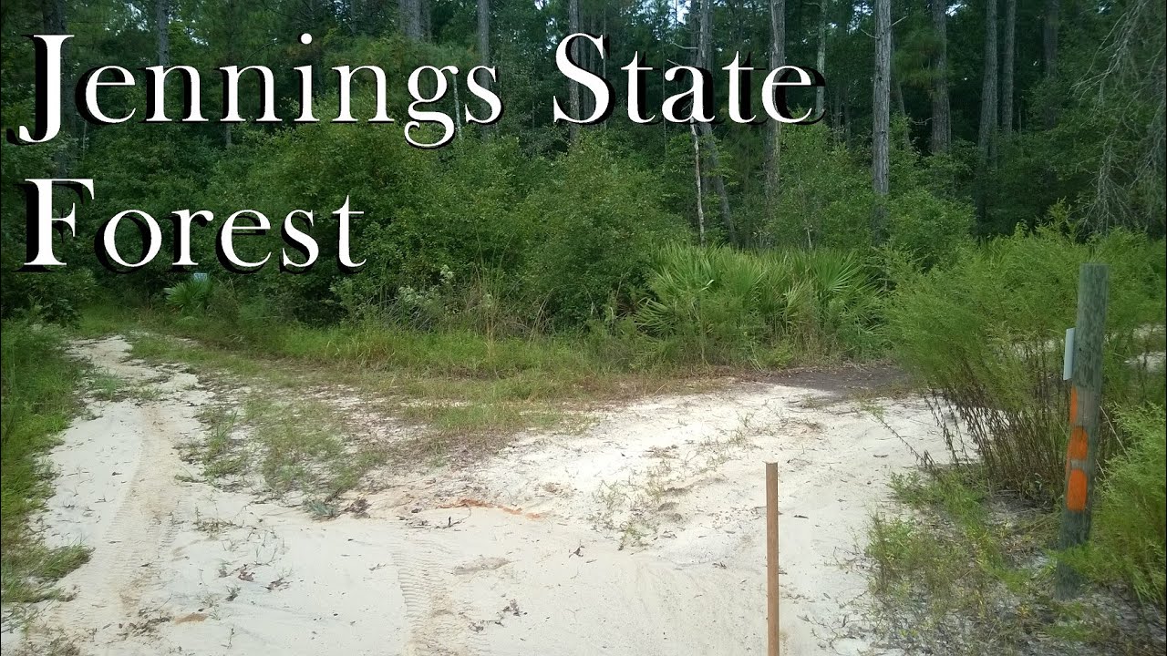 Hiking Jennings State Forest - YouTube