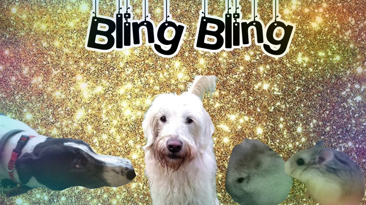 Bling Bling Bling (Audio) Bling Bling Album by PSSB - YouTube