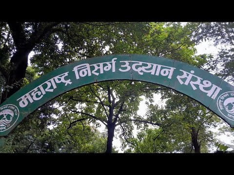Maharashtra nature park. Botany excursion #MNP - YouTube
