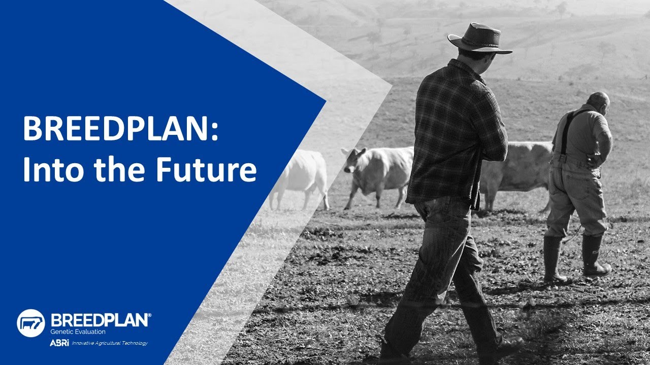 BREEDPLAN: Into the Future - YouTube