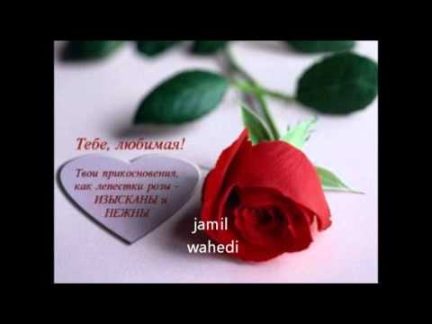 jamshid wahedi