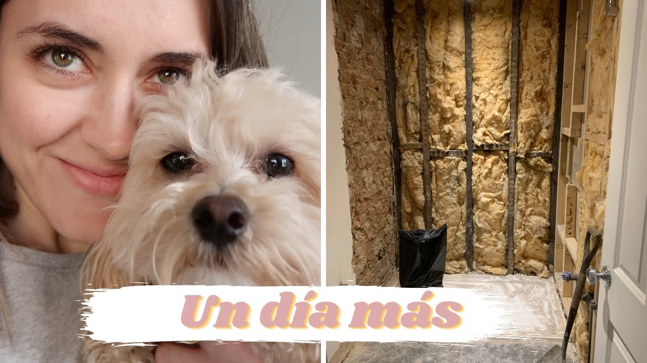 ASÍ ESTÁN LAS COSAS + ¿POR QUÉ NO BAJA LAS ESCALERAS? | AMY TOKS - YouTube