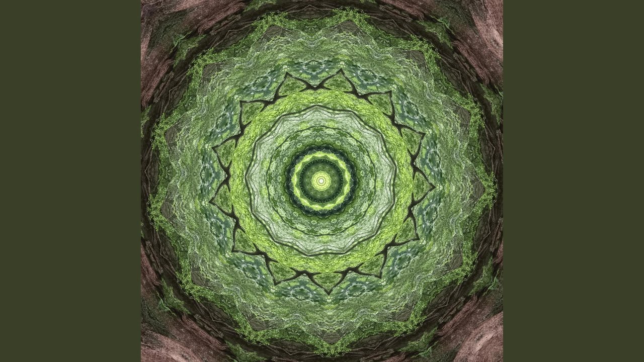 Aham, which means "I am Shiva" in Sanskrit - YouTube