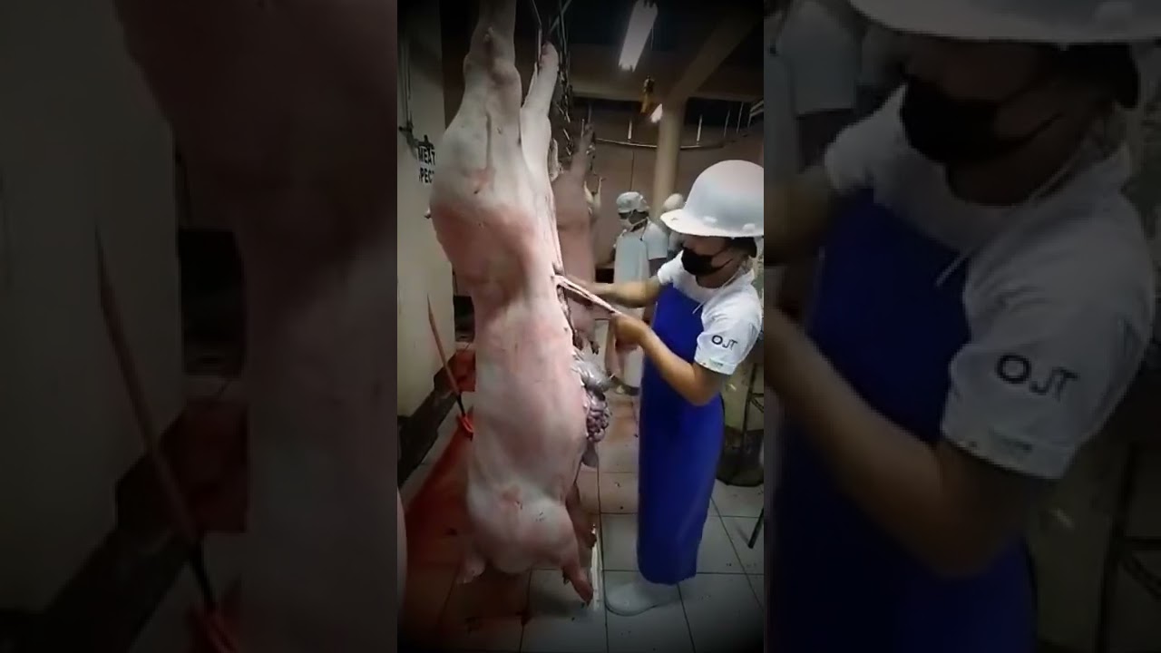 Evisceration - Lady Butcher - YouTube