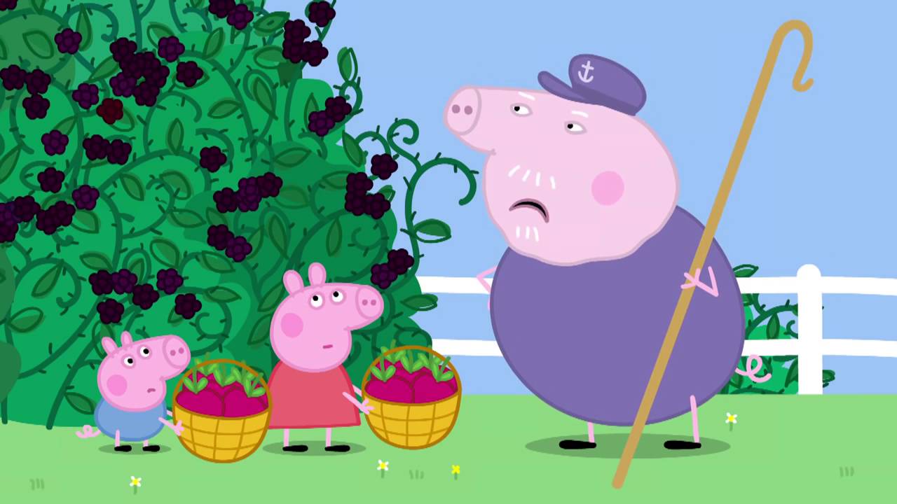 Peppa Pig English Episodes | Mummy Pig In The Blackberry Bush # ...