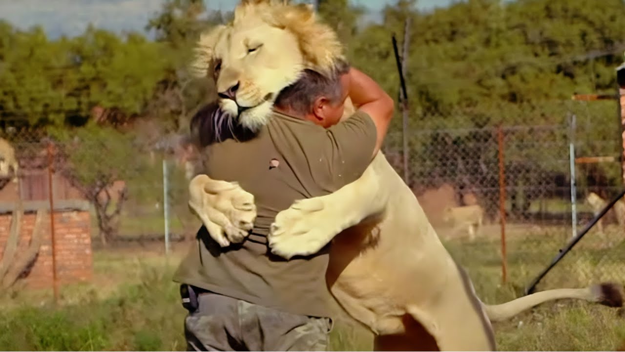 Animals Reunited With Owners AFTER YEARS! - YouTube