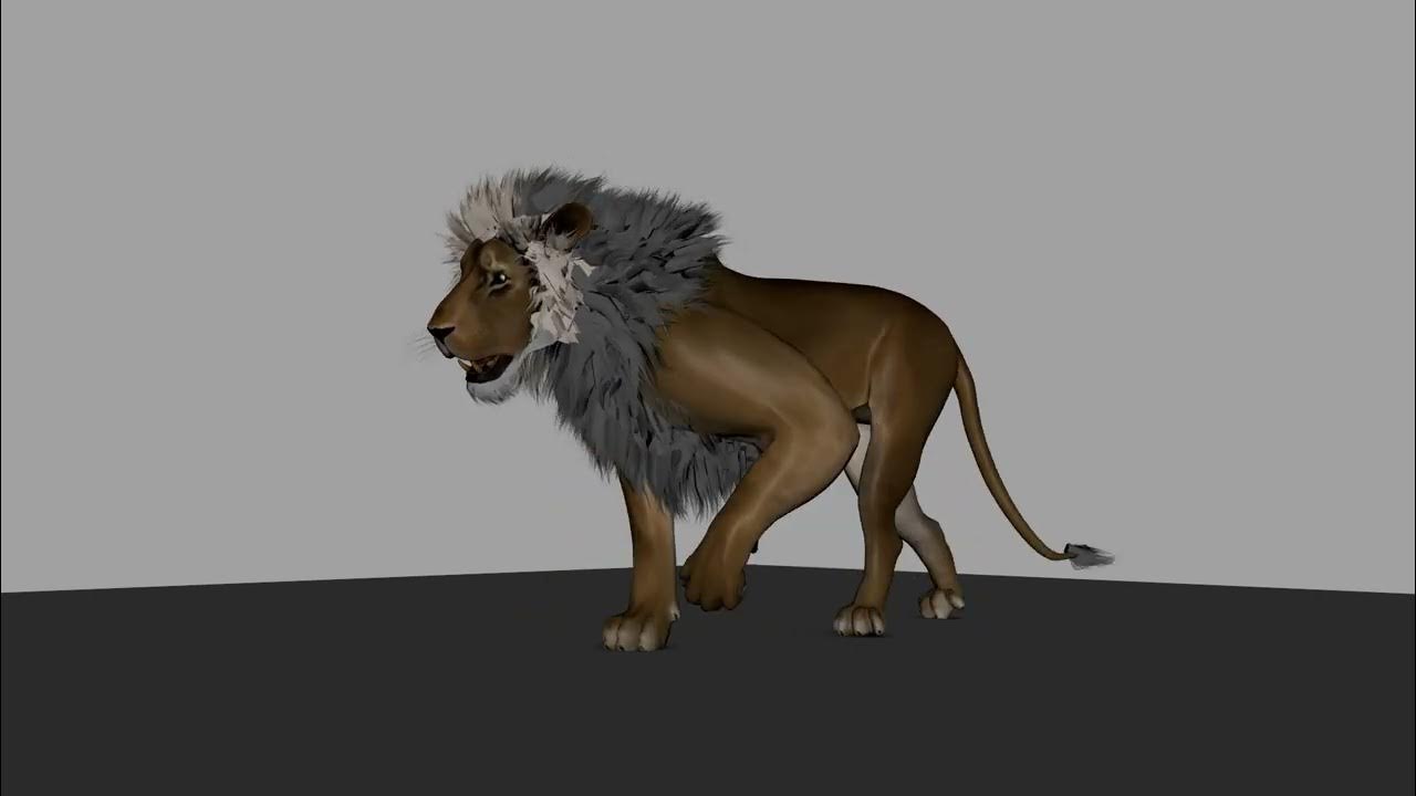 Lion walk cycle animation - YouTube