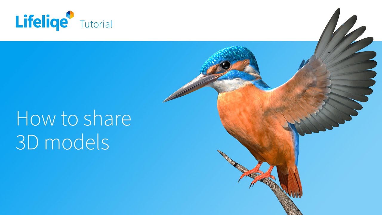 Distance learning with Lifeliqe: How to share 3D models with students ...