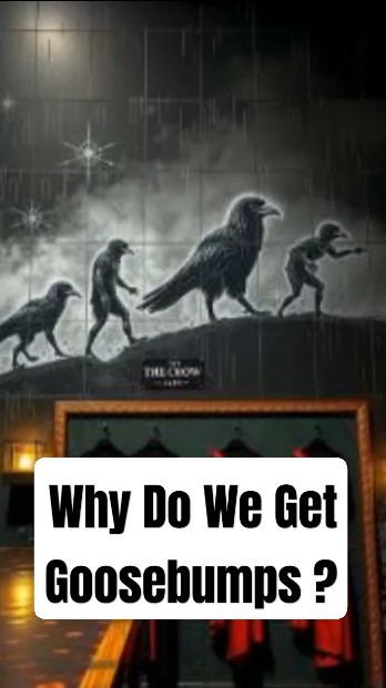 Why Do We Get Goosebumps? - UNIQUE HUMAN FACTS - YouTube