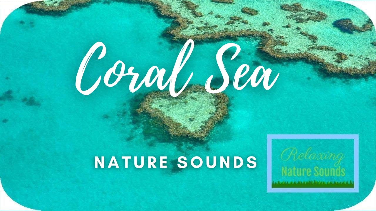 🐚 Australia Great Barrier Reef Coral Sea Sounds for Stress Relief ...