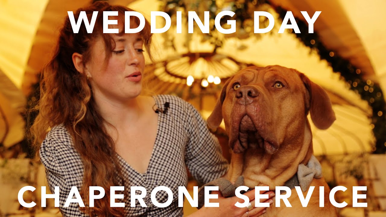 Wedding Day Dog Chaperone Service - YouTube