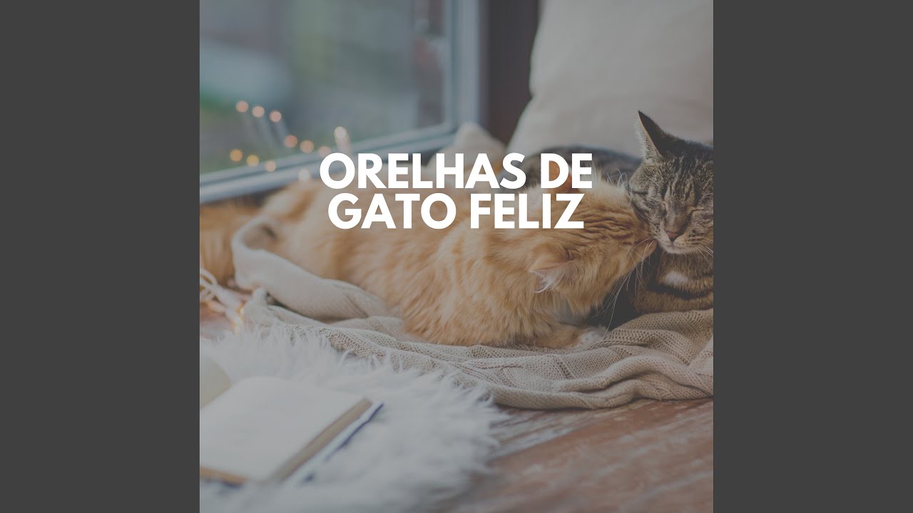 Regal Feline Calming Music for Your Cat, Pt. 7 - YouTube