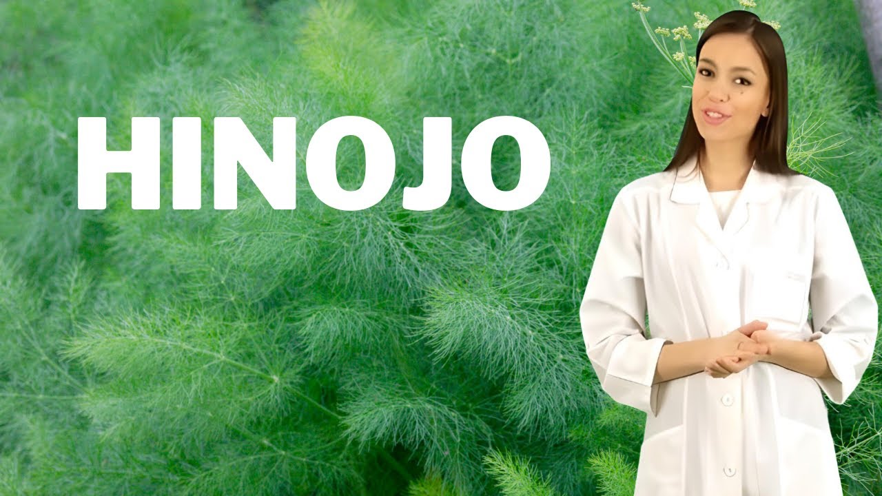 Guía HINOJO planta medicinal, hinojo para qué sirve y cómo tomar hinojo ...