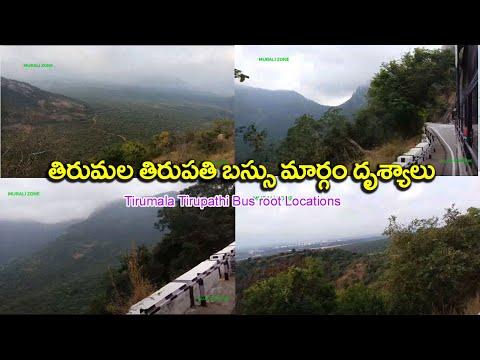Tirumala Tirupati bus route Way to Tirumala Hills Sapthagirula Amazing ...