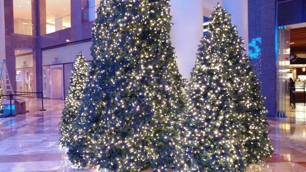 BROOKFIELD PLACE CHRISTMAS TREES IN NYC FINANCIAL DISTRICT MARINA ...